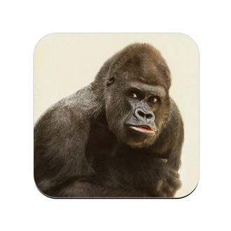 Fabulous Untersetzer aus Kork - Gorilla Foto Tier Natur Leben Wild Affe - 1 Stück (95 x 95 mm)