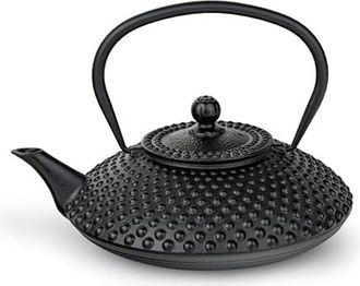 Bredemeijer Asia Gusseisen Teekanne 1,25 Liter - schwarze flache gusseiserne Kanne mit Noppenstruktur & wiederverwendbaren Edelstahlfilter - f&uuml;r alle Teesorten ge