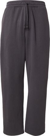 Hollister Hose