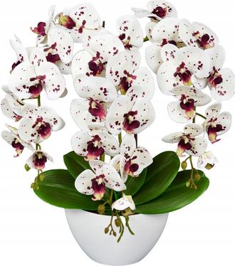 Generic Hochwertige Silikon-Orchidee in Boot-Design - Langlebig und pflegeleicht