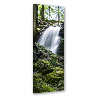 Feeby Leinwand Bilder - Natur - Wald - 60x150 cm- Deko Wohnzimmer - Wandbilder Schlafzimmer - Deko Aesthetic - Wand Deko - Leinwand Groß - Bäume - Deko Zimm