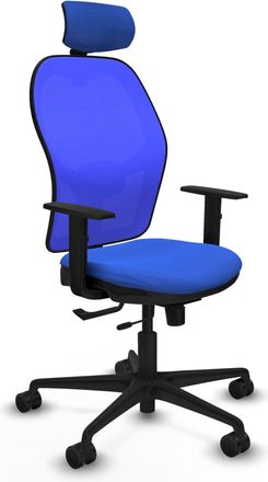 Piqueras y Crespo Ergonomischer Stuhl mit 1D-Armlehnen, h&ouml;henverstellbare Lendenwirbelst&uuml;tze und h&ouml;henverstellbares Kopfteil, Blau / Blau