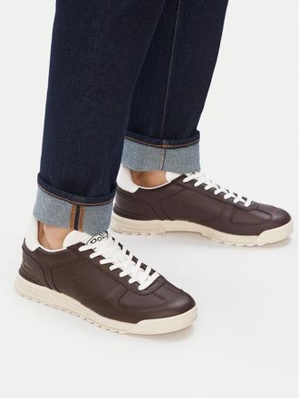Polo Ralph Lauren Sneakers Calzado 809P13089003 Braun