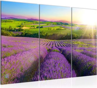 Runa Art Wandbilder Provance Landschaft Bild XXL Schlafzimmer Wohnzimmer Lila Lavendel Natur 120 x 80 cm 3 Teilig 610731b