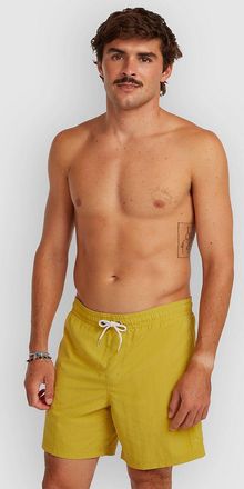 O'Neill Vert 16 Boardshorts angel fern