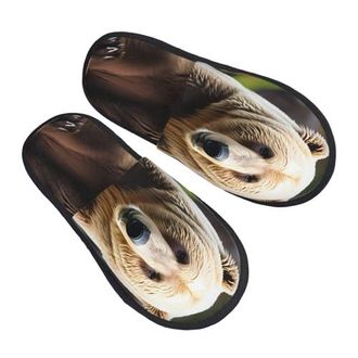 Generic Pantoufles Ours Blanc Ours Brun L&eacute;gers Pantoufles En Feutre Doux Chausson Hotel Pour Spa Int&eacute;rieur Homme L