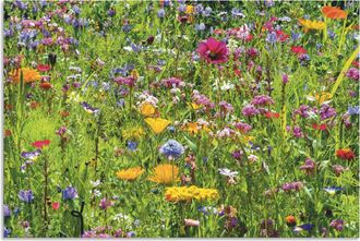 Artland ARTland Wanddeko Wandbild Alu Verbundplatte für Innen & Outdoor Bild 60x40 cm Blumenbilder Blumenwiese Blüten Frühling Blumen Bunt U2KT