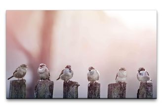 Paul Sinus Art Bilder XXL Vögel auf Holzstämmen 120x70cm Wandbild auf Leinwand