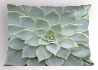 Abakuhaus Wüste Kissenbezug, Kaktus-Blumen-Foto, Dekorativer Standard King Size Gedruckter Kissenbezug, 65 x 50 cm, Blasses Salbeigrün