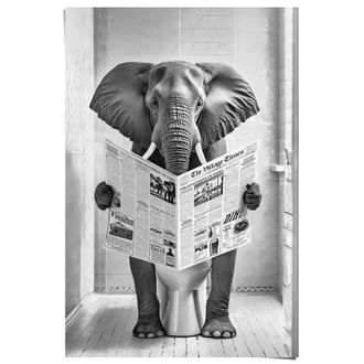Reinders Poster, Elefant auf der Toilette, Toilette, Bilderdruckpapier, 91,5 x 61cm