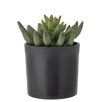 Bloomingville Echeveria Künstliche Pflanze, Grün, Kunststoff, T9xH14 cm