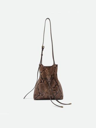 Gianni Chiarini SIENNA