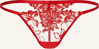 Bluebella String Samara rot