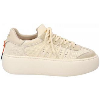 Barracuda BOLLA V2775