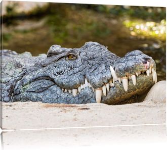 Pixxprint gigantisches Krokodil, Größe: 60x40cm, Leinwandbild, fertig gespannt, Wandbild, Dekoration, Kunstdruck, kein Poster