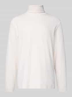 Tom Tailor Regular Fit Rollkragenpullover aus Baumwoll-Mix