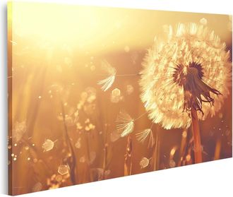 Islandburner Bild auf Leinwand Pusteblume im Sonnenuntergang Lichtspiel f&uuml;r Wohnzimmer Naturfreunde Wellness-Spa Bilder Wandbilder Poster