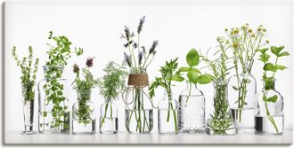 Artland Wanddeko Leinwand Bilder Wandbild 100x50 cm Querformat Modern Küchenbilder Pflanzen Kräuter Blumen Gewürze Grün H9KE