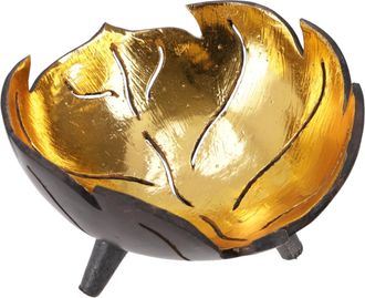 Guru Shop Schale aus Kokosnuss, Exotische Dekoschale - Blatt, 8x14x14 cm