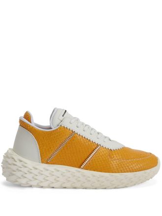 Giuseppe Zanotti baskets Urchin - Jaune