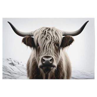 artboxONE Poster 75x50 cm Natur Der Highlander - Bild Bild Highland Cattle Bild Highland Cattle Bild rind