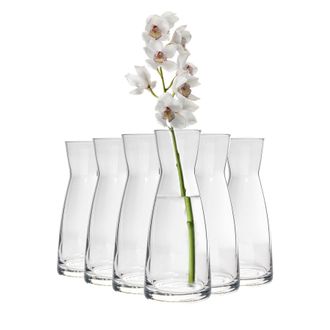 Bormioli Rocco Ypsilonglas Carafes - 1,1L - 6. Packung