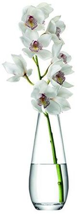 LSA International Flower Vase für lange Stiele H29cm - klar