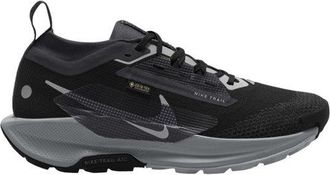 Nike Pegasus Trail 5 GORE-TEX - Trailrunning-Schuhe - Damen