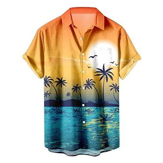 Generic Chemise hawa&iuml;enne &agrave; manches courtes pour homme - Motif hawa&iuml;en - Motif palmier tropical - Chemise de plage boutonn&eacute;e - Vintage Cara&iuml;bes - Motif floral