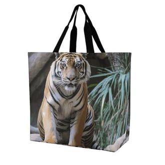 Generic Tigre Au Zoo Sac Fourre-Tout Pliable Tote Bag Imperm&eacute;able Sac A Main Femme Pour Plage Travail Shopping