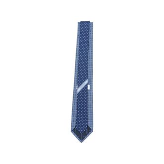 Ferragamo Bluma Necktie - Blue