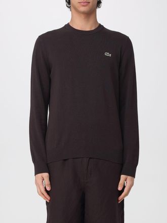 Lacoste Pull LACOSTE Homme couleur Marron
