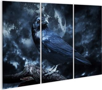 Islandburner Bild Bilder auf Leinwand Schwarzer Rabe im Mondlicht auf einem Baum. Schaurig, gruselig, gothische Umgebung. Wolkenreiche Nacht mit Vollmond. Hallowee