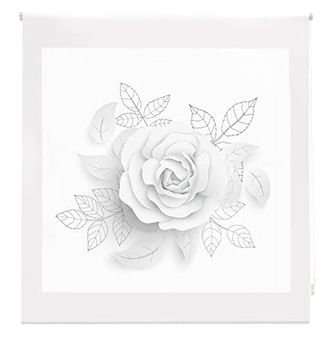 Blindecor Tropic, Digital-Rollo, lichtdurchlässig, Bedruckt, 150 x 180 cm (Breite x Höhe)