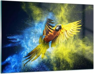 Arttor Wandbilder Dekoration Wohnzimmer Papagei Vogel Feder Bilder auf Glas 120x80cm Glasbild Schlafzimmer Küche Deko Wand Kunstdruck Art Groß XXL Wanddeko B