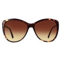 Radley London Gwyneth 102 havannafarbene Sonnenbrille mit Farbverlauf