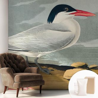 Tulup Carta Da Parati - Murale Alla Moda Decorazione - Camera Da Letto - Con Colla Gratuita Paesaggio Marino 250x250 Cm