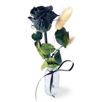 Beija Flor Konservierte Rose mit Vase - Echte ewige Rose mind. 3 Jahre haltbar - kurze Rose mit Stiel Höhe 26 cm - stilvolle Dekoration mit Infinity Rose - Gesch