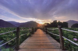 My Home LED-Bild Urwald