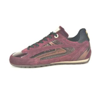 Floris Van Bommel Bordo +Lace Fijn Sneaker N. - - Shoes - Damen - Mehrfarbig - 39 EU