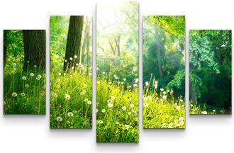 Paul Sinus Art Leinwandbilder | Bilder Leinwand 160x100cm Pusteblumen im Wald
