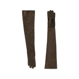 Max Mara Gants longs en daim Masestremo - Femme - Accessoires - Brun - Taille: 7 IN
