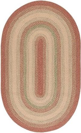 Safavieh Zeitgenössische Teppich für Wohnzimmer, Esszimmer, Schlafzimmer - Braided Collection, Kurzer Flor, Rost und Orange, 465 X 619 cm