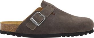 Scholl OLIVIER Suede Grey