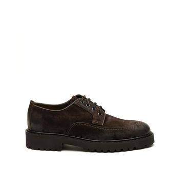 Doucal's Homme, Chaussures, Brun, Taille: 43 1/2 EU Chaussures Derby Classiques