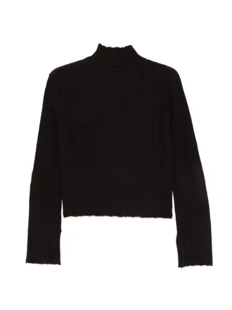 Alysi Wool Turtleneck Sweater - Black