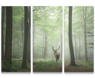 Paul Sinus Art Leinwandbilder | Bilder Leinwand 130x90cm Hirsch im Wald