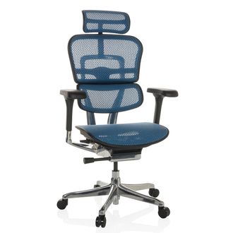 hjh OFFICE Bürostuhl ergonomisch ERGOHUMAN GEN2 Originales Design, 24h Einsatz Bürosessel mit Flexibler Lordosenstütze, Netz Blau