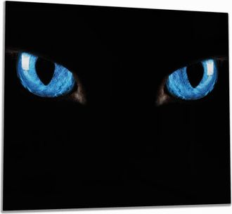 Wallario Herdabdeckplatte/Spritzschutz aus Glas, 1-teilig, 60x52cm, f&uuml;r Ceran- und Induktionsherde, Blaue Katzenaugen bei Nacht