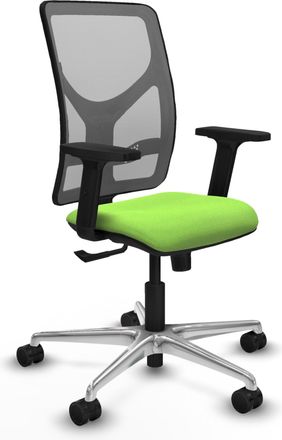 Piqueras y Crespo B&uuml;ro-Rollstuhl mit 2D-Armen, h&ouml;henverstellbare Lendenwirbelst&uuml;tze, ausgestattet mit 3 Positionen und Schneidschaum, Grau/Pistazie